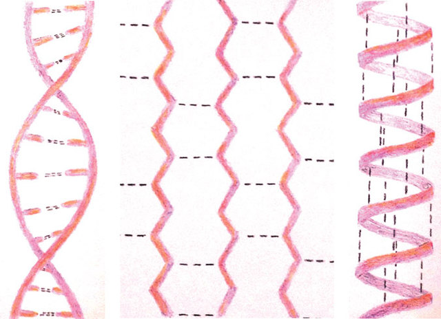 The Discovery of DNA - Robino, Gaby and Ellison, Lizzy timeline ...