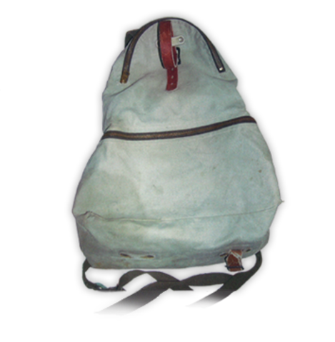 La Evolución de la Mochila timeline | Timetoast timelines