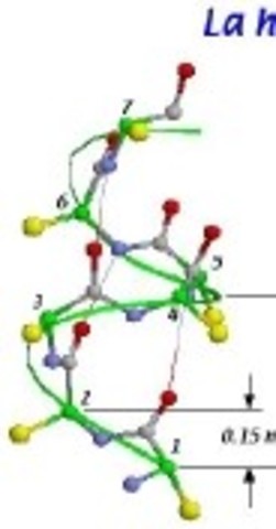 Biología Molecular timeline | Timetoast timelines