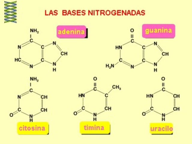 Linea del tiempo: Historia de la Biología Molecular timeline ...