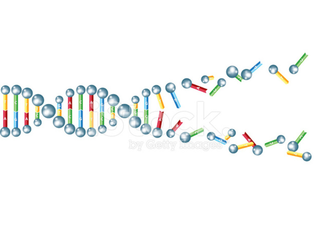 Hechos relevantes de la Biología Molecular timeline | Timetoast timelines