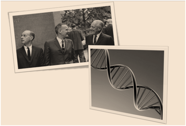 HISTORIA DE LA BIOLOGÍA MOLECULAR timeline | Timetoast timelines