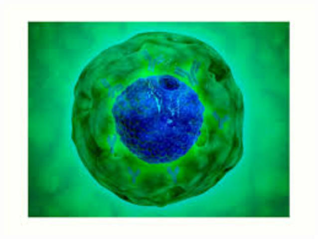 La Historia de la Biologia Molecular timeline | Timetoast timelines