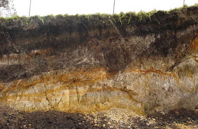 Historia de la edafología Freddy Mauricio Cárdenas Vargas, Daniel ...