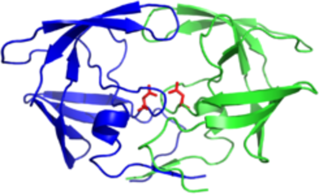 Historia de la enzimología timeline | Timetoast timelines