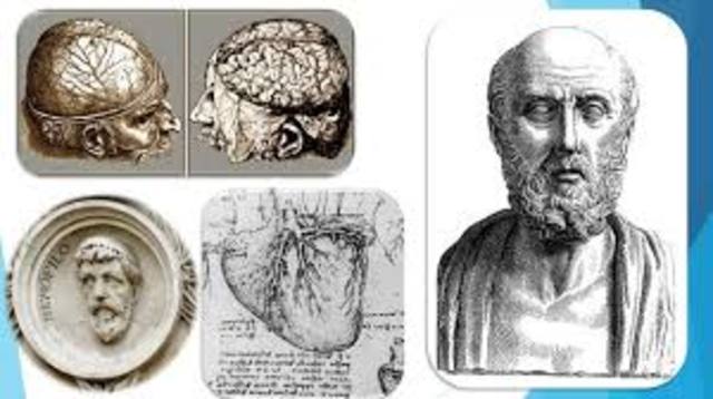 Historia de la neurociencia timeline | Timetoast timelines
