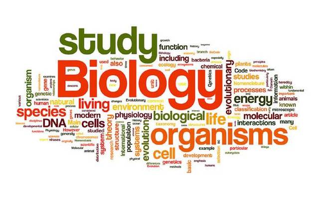 Timeline of Major Discoveries in Biology | Timetoast timelines