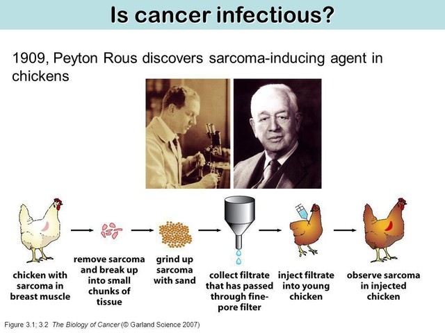 LÍNEA DE TIEMPO "HISTORIA DE LA BIOLOGÍA" timeline | Timetoast timelines