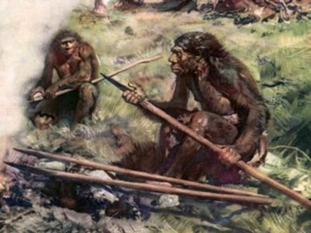 Human Evolution timeline | Timetoast timelines