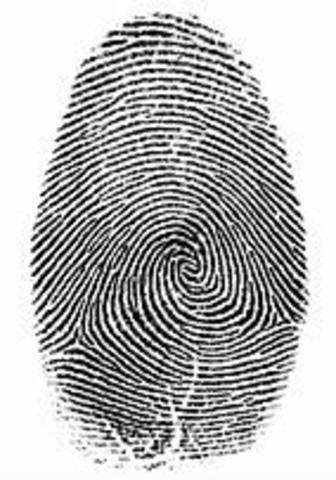 History of CSI timeline | Timetoast timelines