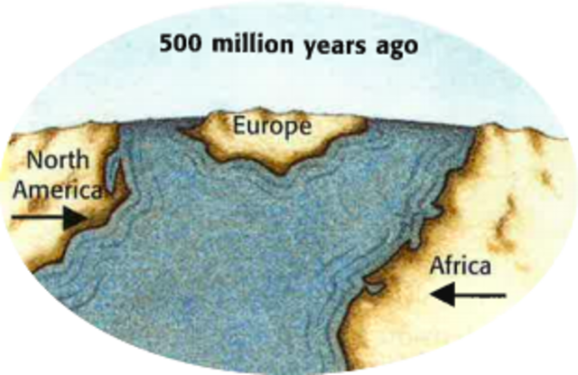 Earth's History timeline | Timetoast timelines