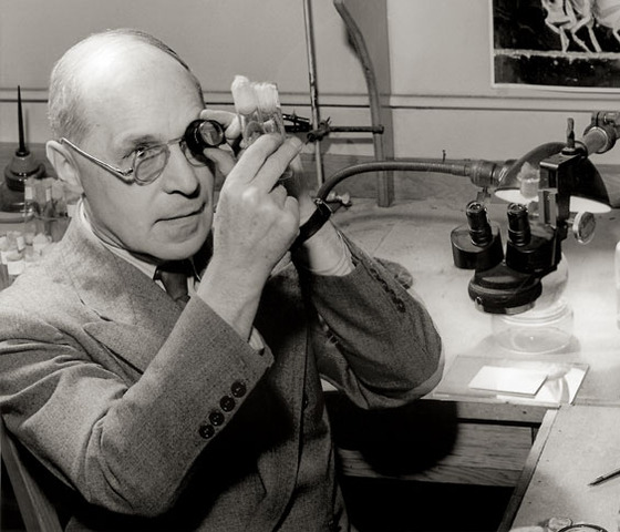 DNA history timeline | Timetoast timelines