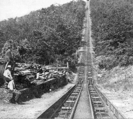 Roller Coaster timeline | Timetoast timelines