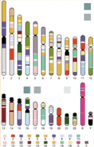 linea del tiempo de la historia de la genetica timeline | Timetoast ...