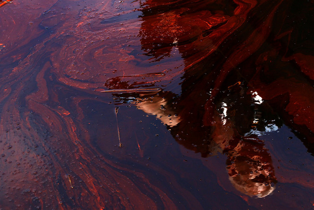 Worst Oil Spills in History timeline | Timetoast timelines