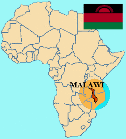 malawi,south africa timeline | Timetoast timelines