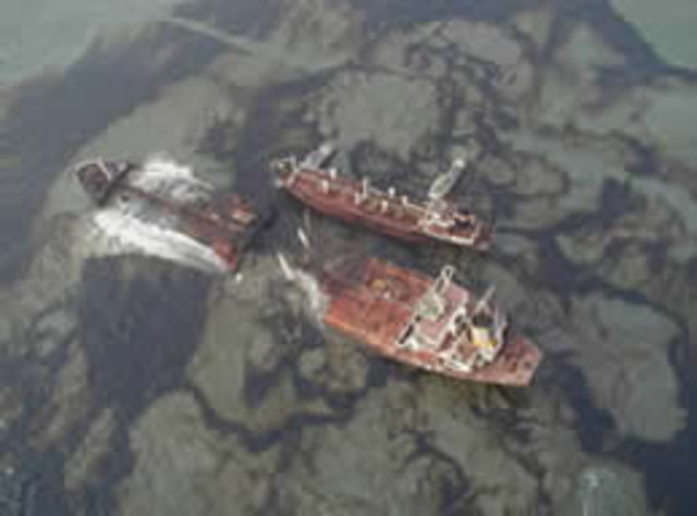 Worst Oil Spills in History timeline | Timetoast timelines