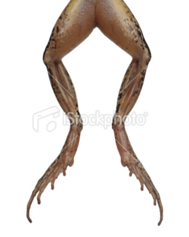 seminar 2 timeline | Timetoast timelines