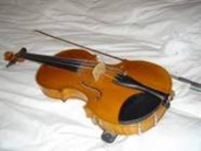 The Evolution of the Violins- Lucy timeline | Timetoast timelines