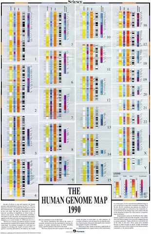 DNA Timeline | Timetoast timelines