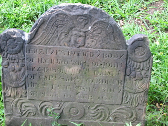 We all use the language English timeline | Timetoast timelines