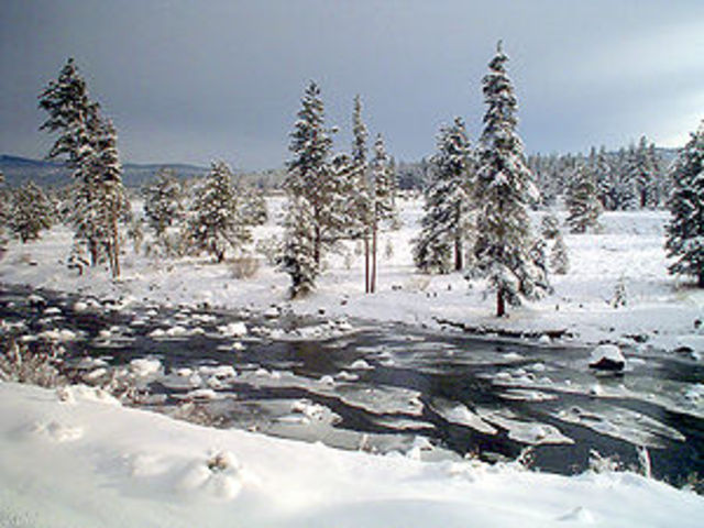 The Donner Party timeline | Timetoast timelines