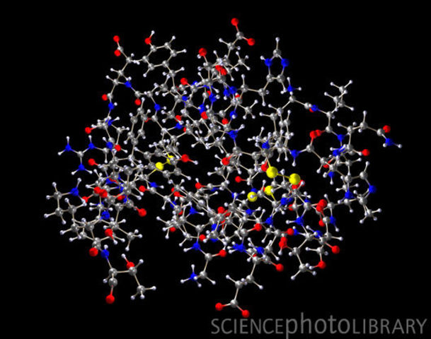 Frederick Sanger timeline | Timetoast timelines