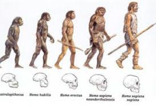 illistrated timeline of early humans | Timetoast timelines