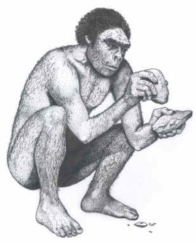 Early Hominids timeline | Timetoast timelines