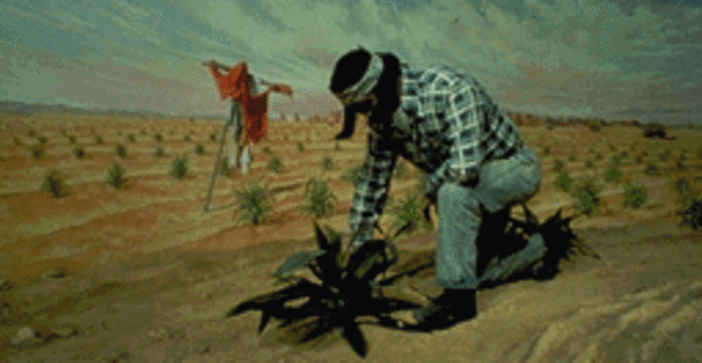 Hayes: Native American Conflicts of the late 1800's timeline ...