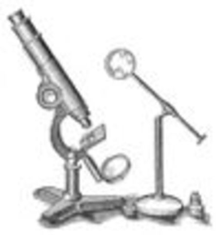 Ch 23: The Scientific Revolution and the New Learning timeline ...