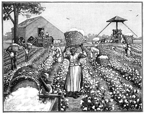 Cotton, Slavery and the South 1790's - 1850's timeline | Timetoast ...