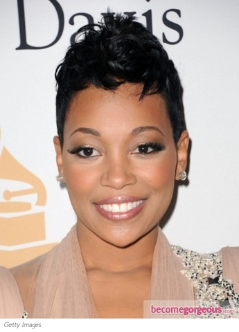 MONICA timeline | Timetoast timelines