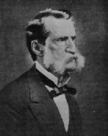 Elizabeth Cady Stanton Timeline | Timetoast timelines