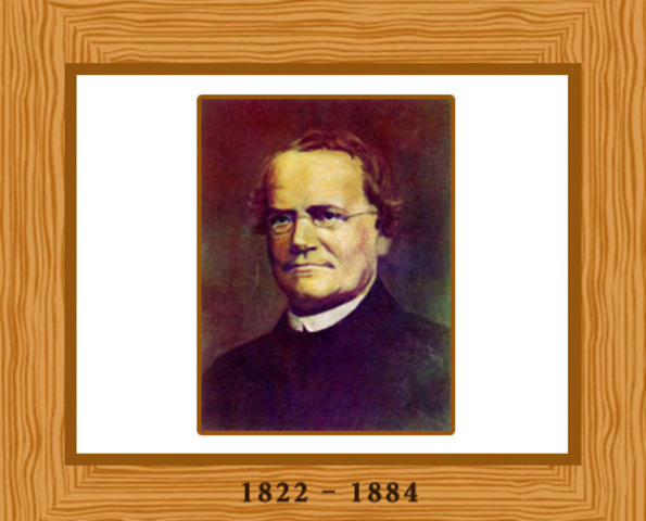 Gregor Mendel 1822-1884 timeline | Timetoast timelines