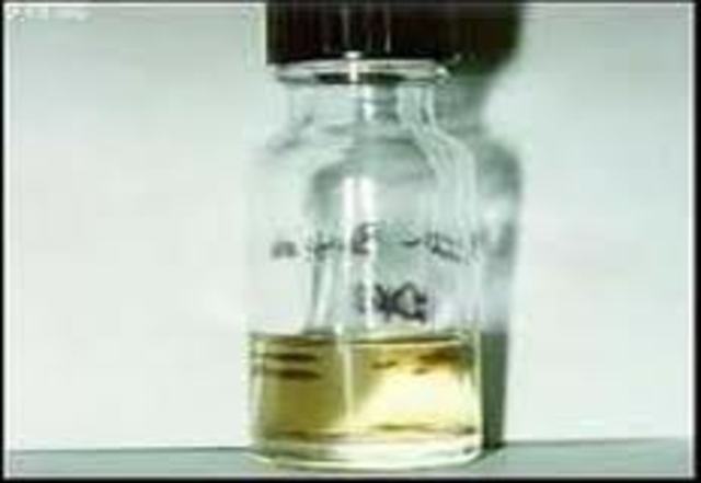 History of PCP timeline | Timetoast timelines