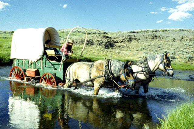 Oregon trail pioneers timeline | Timetoast timelines