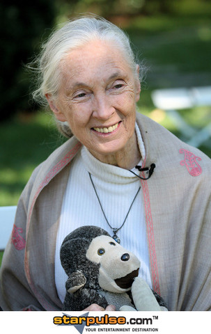 Jane Goodall's Life timeline | Timetoast timelines