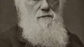 Charles Darwin Timeline | Timetoast timelines