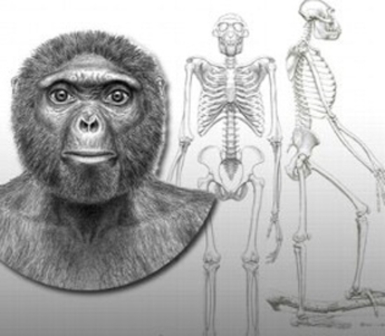 Especie Humana timeline | Timetoast timelines