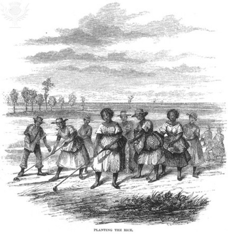 Georgia Timeline | Timetoast timelines