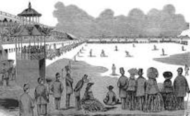 Intercollegiate Sports timeline | Timetoast timelines