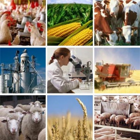 Australian Agriculture timeline | Timetoast timelines