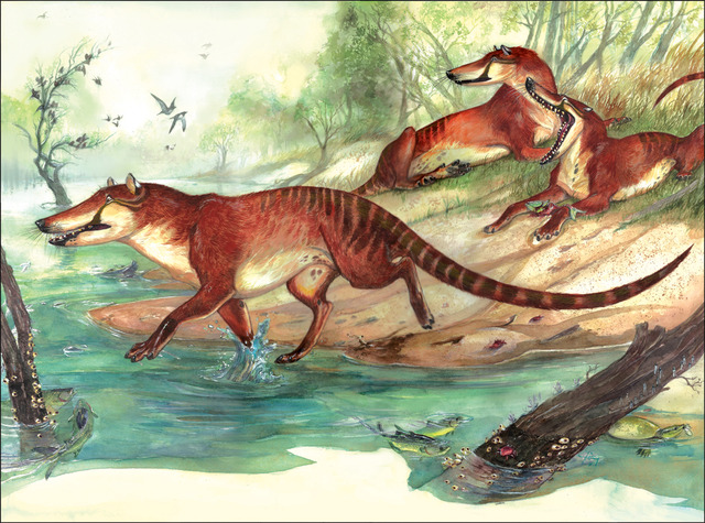 Prehistoric Whales On Land