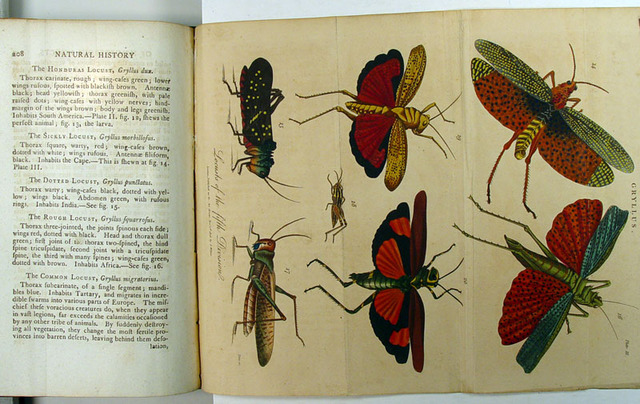 Biology Discoveries in 1700 - 1799 timeline | Timetoast timelines