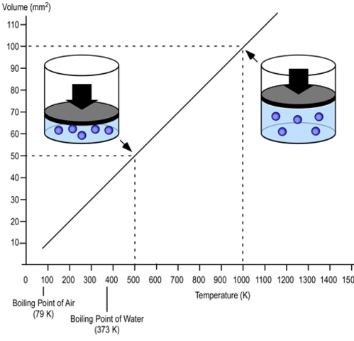 Jean Senebier Experiment