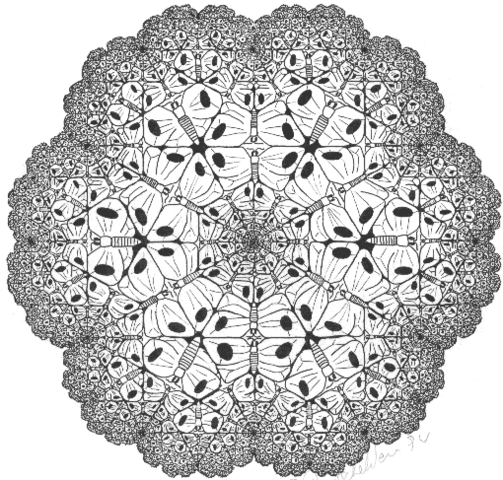 The history of fractals timeline | Timetoast timelines