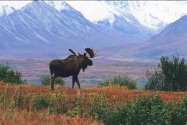 Alaska History timeline | Timetoast timelines