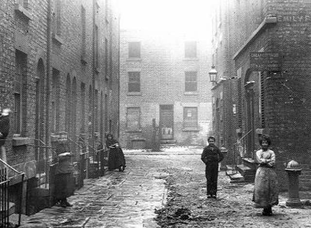 Public Health 1830-1875 timeline | Timetoast timelines