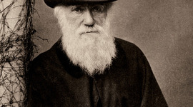 linea de tiempo: biografia de Darwin timeline | Timetoast timelines